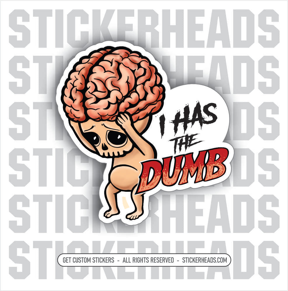 I HAS THE DUMB - BRAIN - Funny Sticker – Stickerheads Stickers